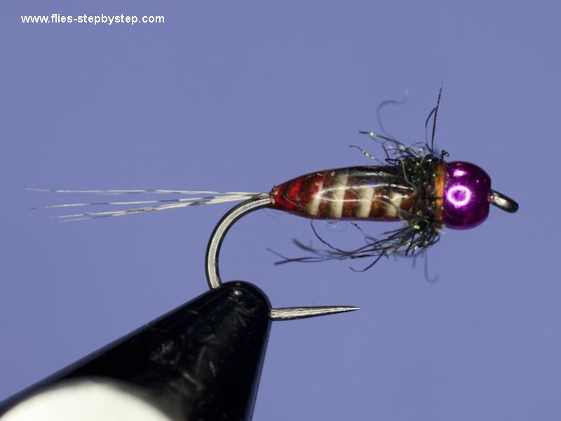 Quill Nymph Fly Pattern How To Tie Fly Fly Tying Step By Step Patterns And Tutorials